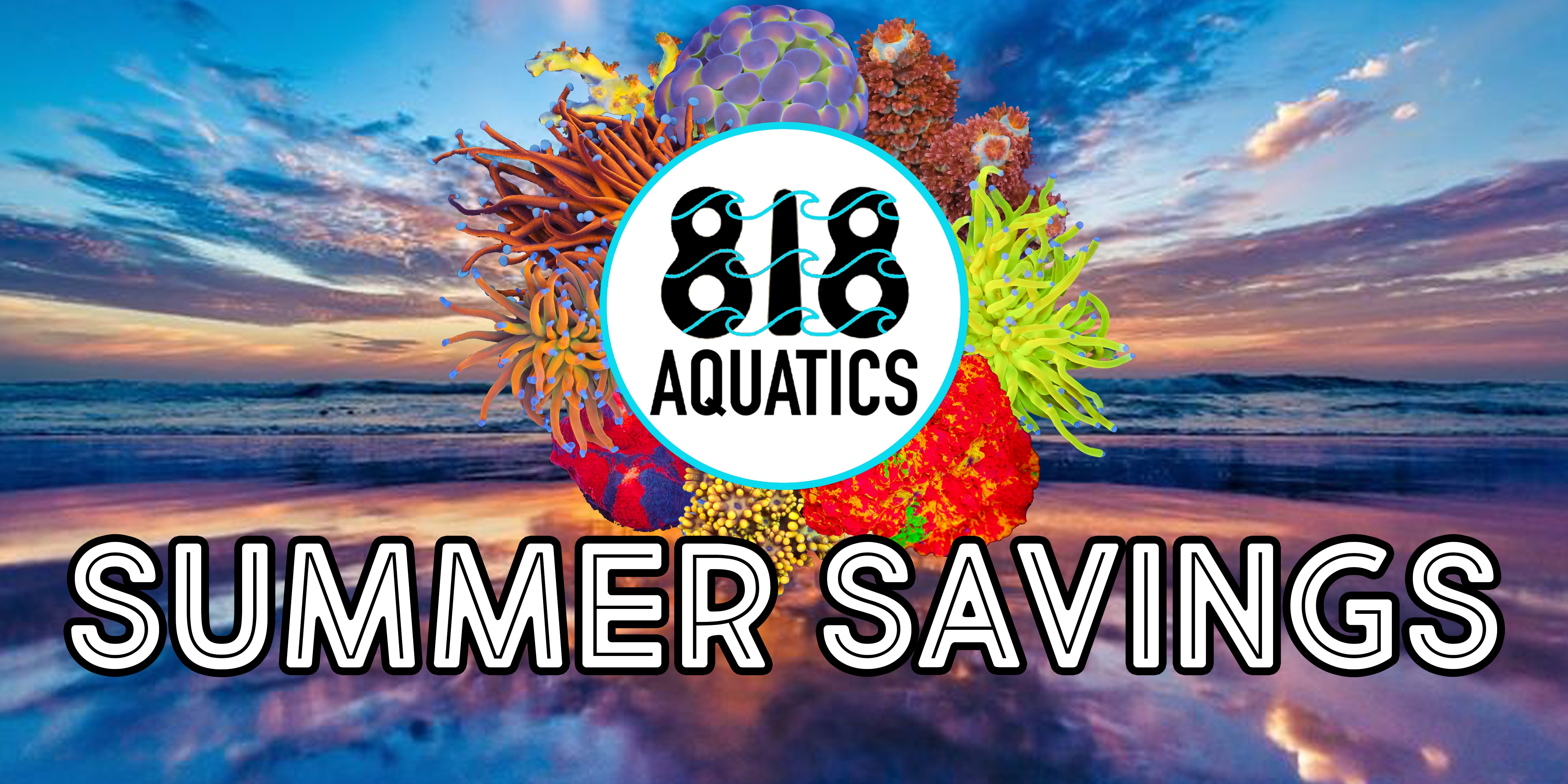 818 Aquatics Your #1 Source For Saltwater Corals – 818 AQUATICS